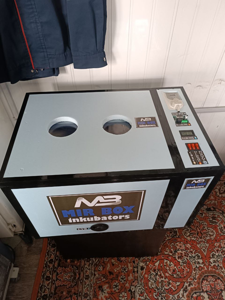 Inkubator avtomat