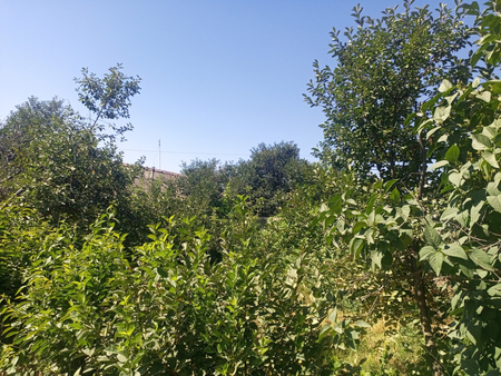 16 sotihli hovli