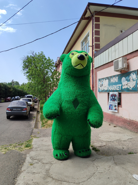 Teddy ayiqchalar va afarmleniya xizmati .