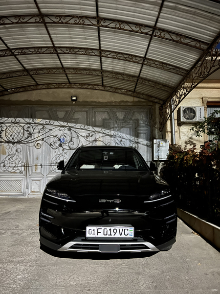 Byd chempion srochna ozimmi nomimda