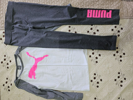 Тройка Puma (США)