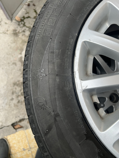 R15 Cobalt Deska balon GM Arginal