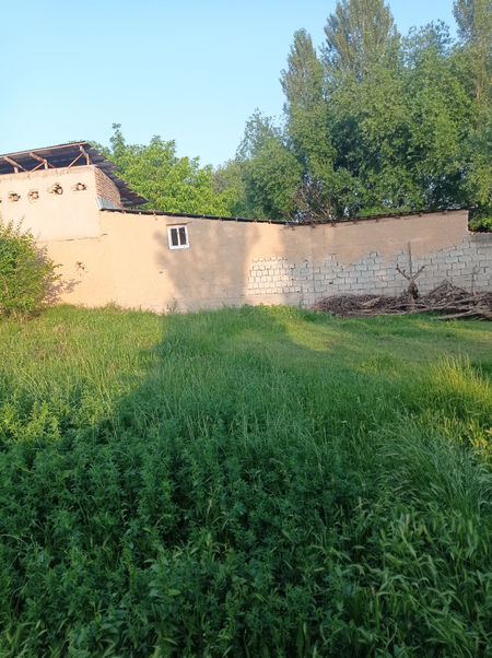 Hovli sotiladi pustoy