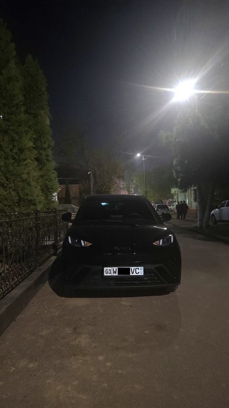 Byd Seagull 2025 flying 405km Qora