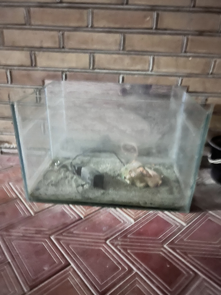 Продаётся аквариум