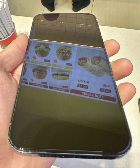 iPhone 13 Pro Max