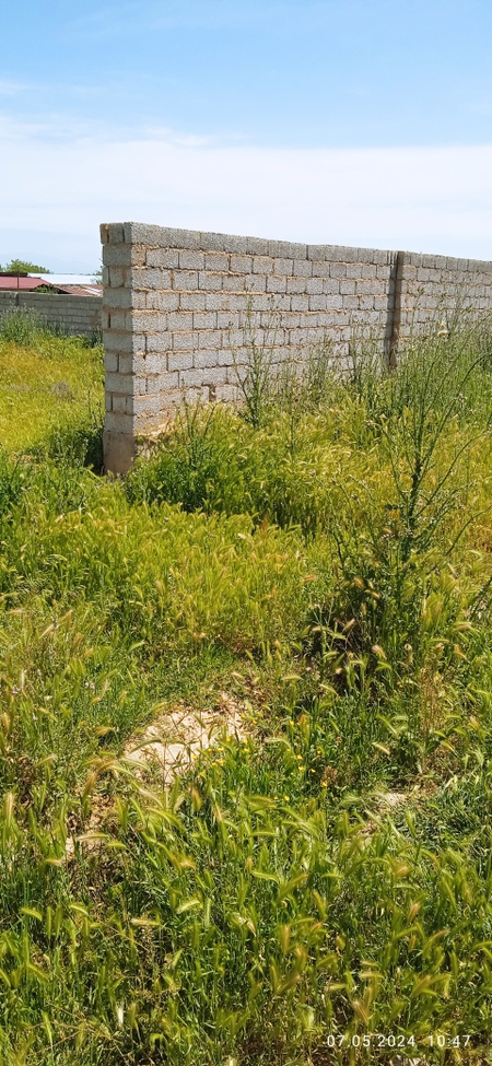 Uchastka uchastka