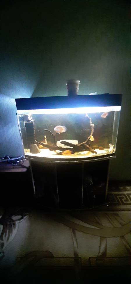 Oldi avaliable zavadskoy akvarium +-200 litr