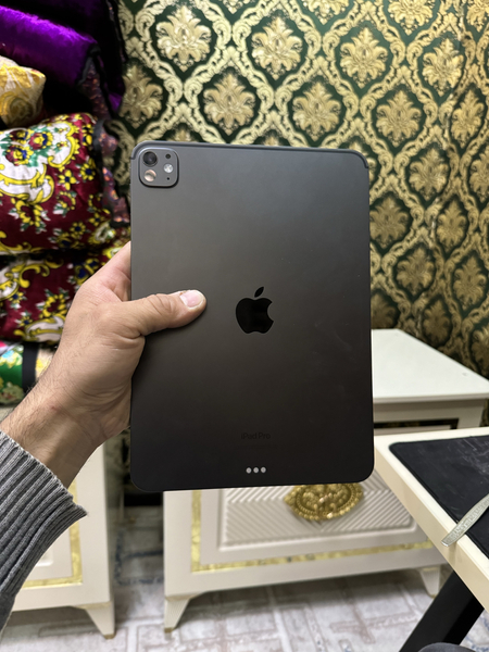 ipad pro 11 dyum M4 256 gb LLA