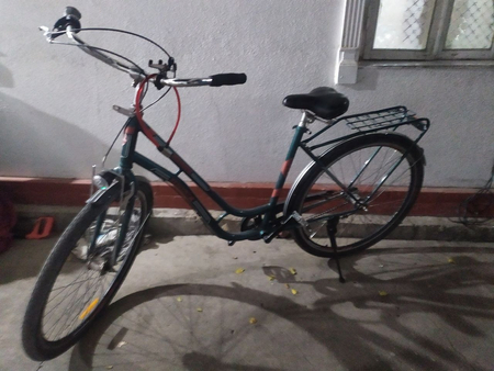 Velosiped kareesi