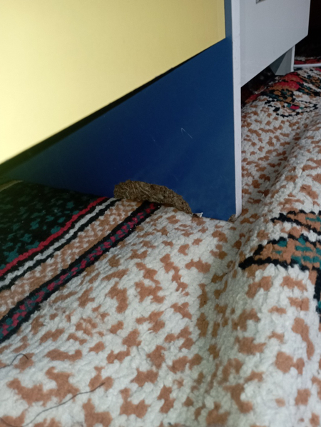 Detiski divan holati yaxwi