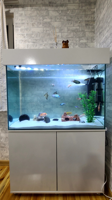 Akvarium Аквариум