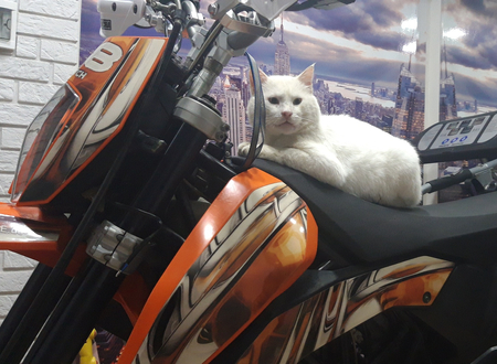 Продается KTM 690