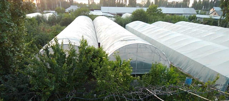 ВНИМАНИЕ Продаю 6 комнатный дом земли 54 сот 2 парника срочно.