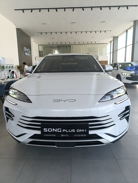 BYD song champion.