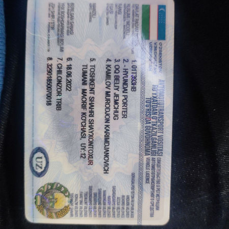 Hyundai yuk mashinasi