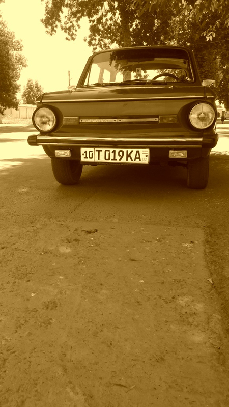 Zaz sotilad tez va arzon