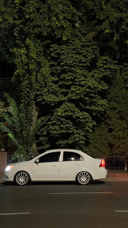 Cobalt nexia r17 sotiladi