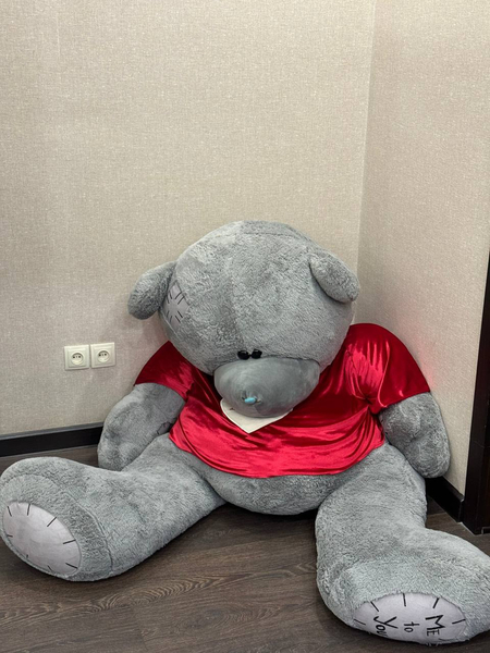 Teddy sotiladi 1