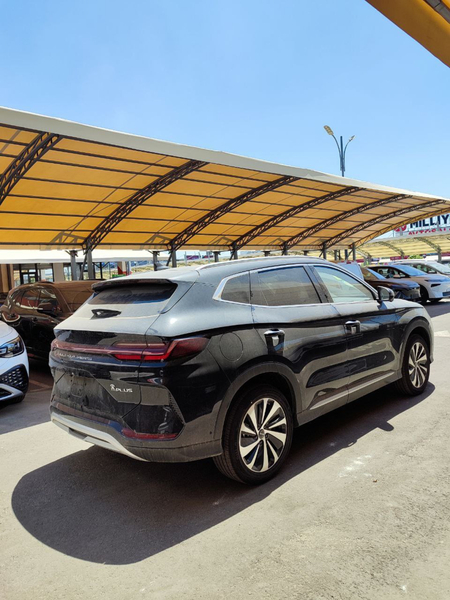 Byd chenpion nalicha