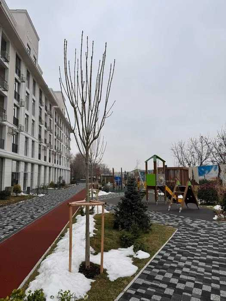 NRG Hayot Площадь:58 Центр плова, минор ;