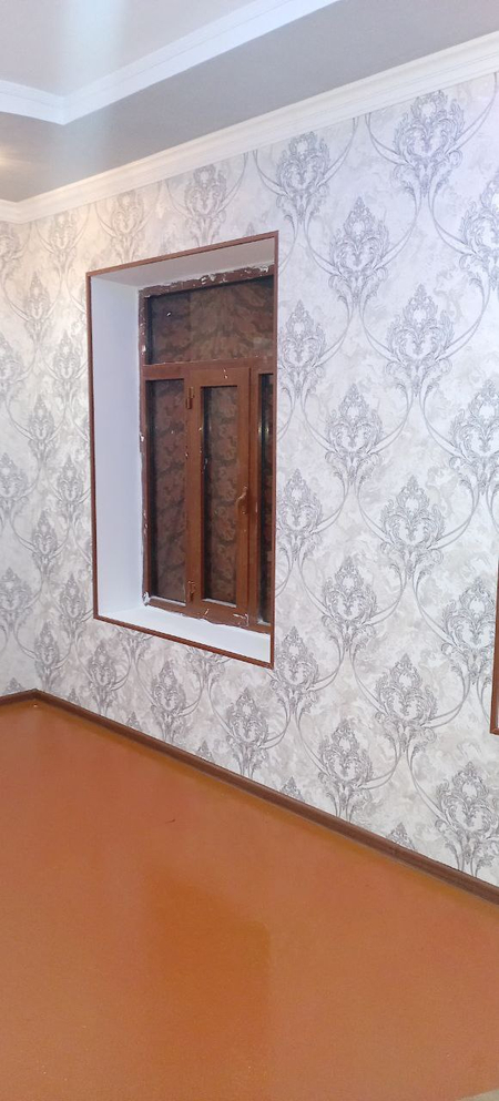 Ustachilik xizmati Toshkent boʻylab