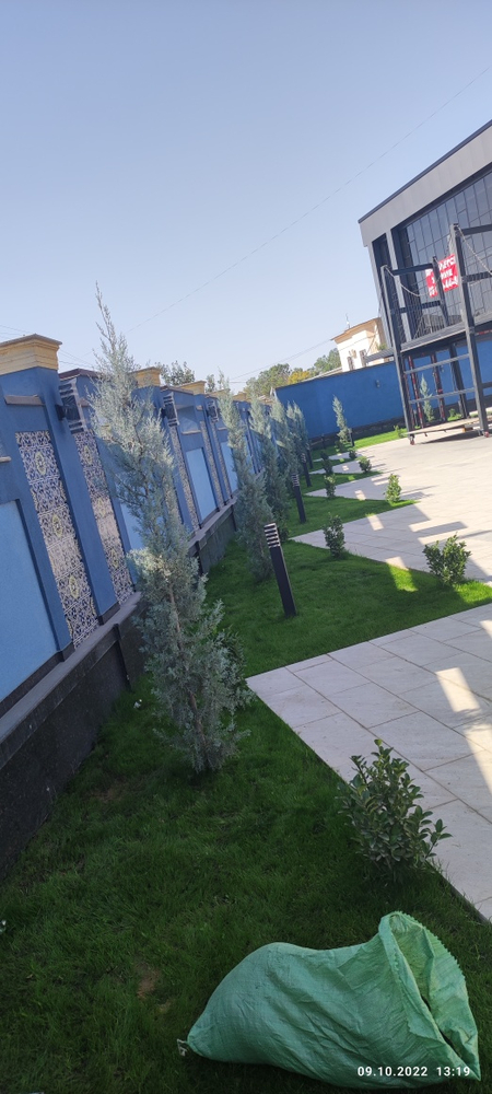 Газон и полив установка Gazon ekamiz.