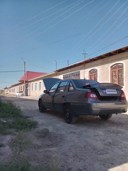 нехиа 2  гибрит йанги