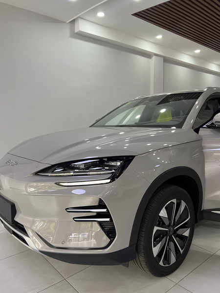 BYD Chempion Restaylin 2025 Narda Greey