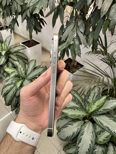 iPhone 15 pro max 256 gb LLA white titanium