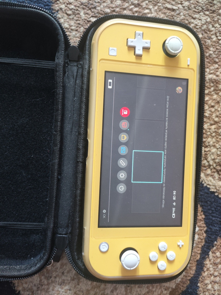 Nintendo switch Lite
