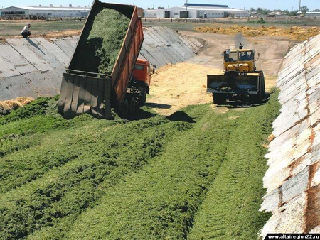 SILOS/СИЛОС донли 100%. Кукурузовый