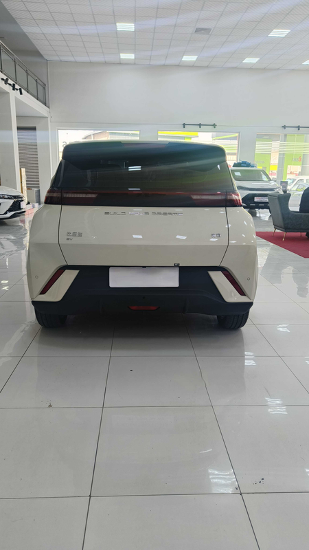 BYD Seagull full 405 km (в наличии)