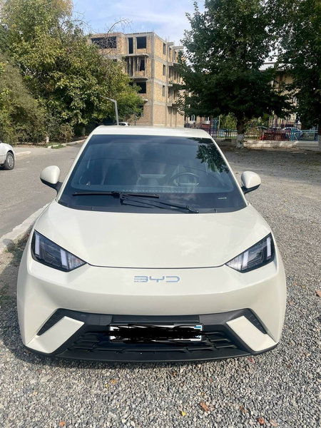 BYD Seagull сотилади