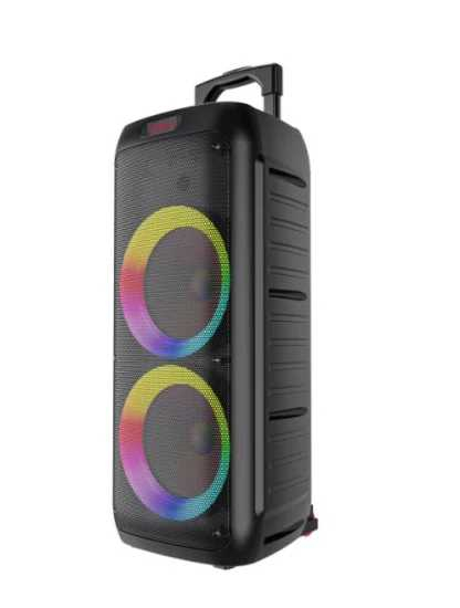 Sing-e ZQS 8235 Simsiz mikrofonli portativ partiya dinamiki
