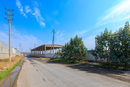 Сергели земля 1 гектар