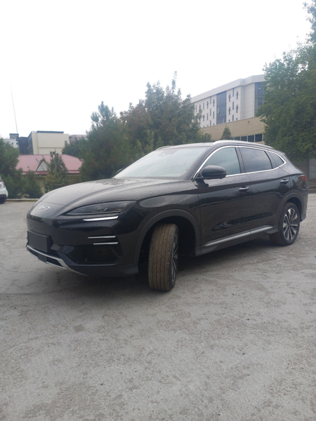 BYD chempion bez probeg