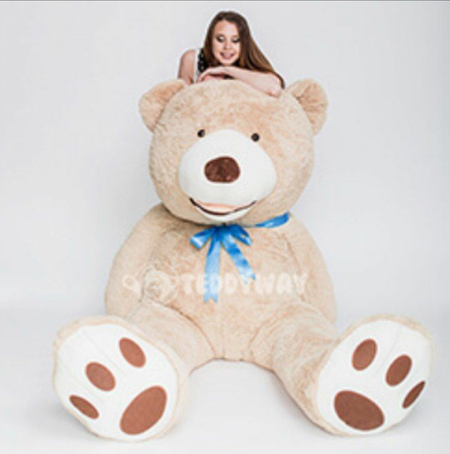 Teddy  ayiqchalar
