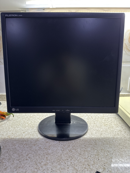LG Flatron L 1942S