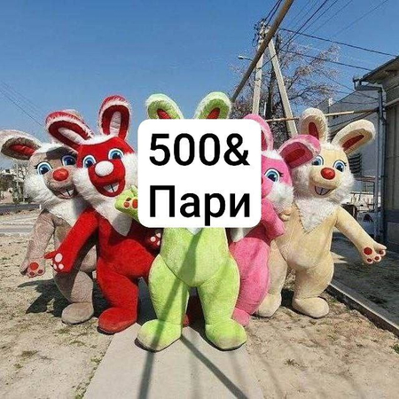 Ayiqlar  va Quyonlar sotiladi