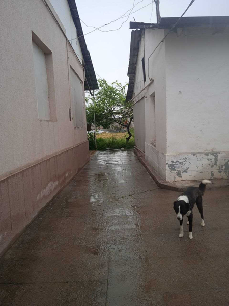 olim polvon orqasi 8sotix sotiladi yol yuzida joylashgan yolga yaqin