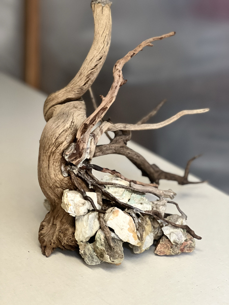 Коряга готовая