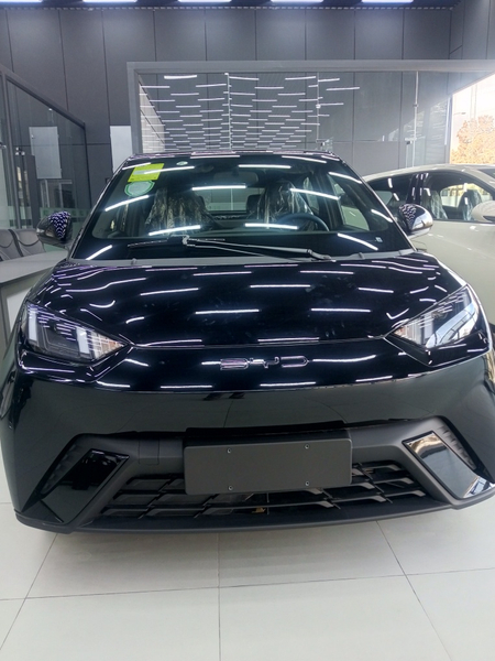 Byd seagull 2024
