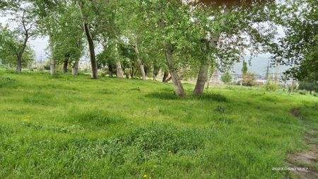 Ангрен. 7,7 га под застройку