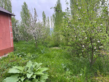 Срочно продается дача чимган