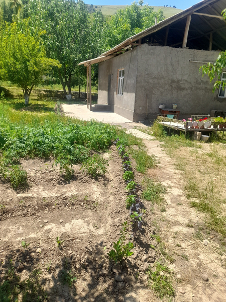 Tashkent vloyati Bostoliq tumanida uy sotiladi