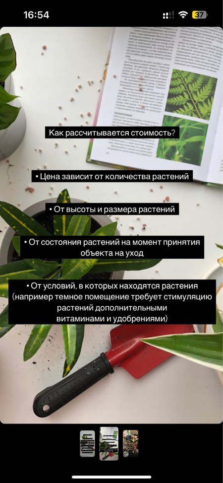 услуги флориста флорист хизматлари