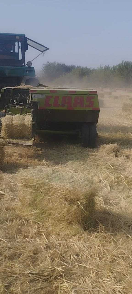 Pris padborchik marka 50 CLAAS