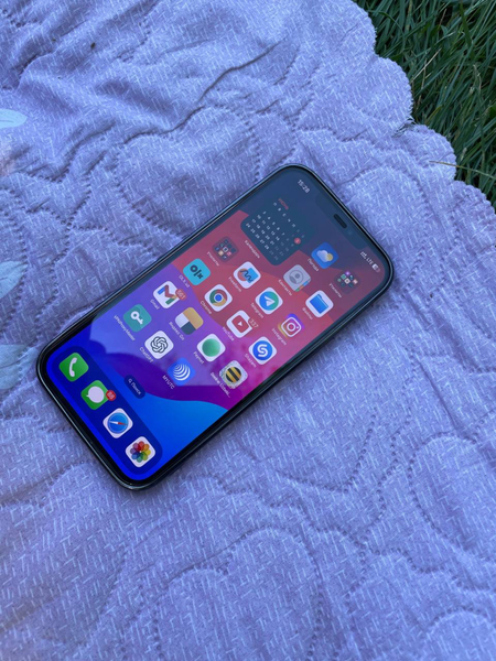 iPhone 12 pro max
