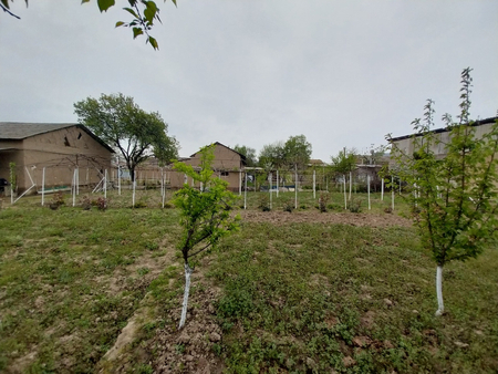 Sergeli Xonobod Yer sotiladi narxi 22000 dan